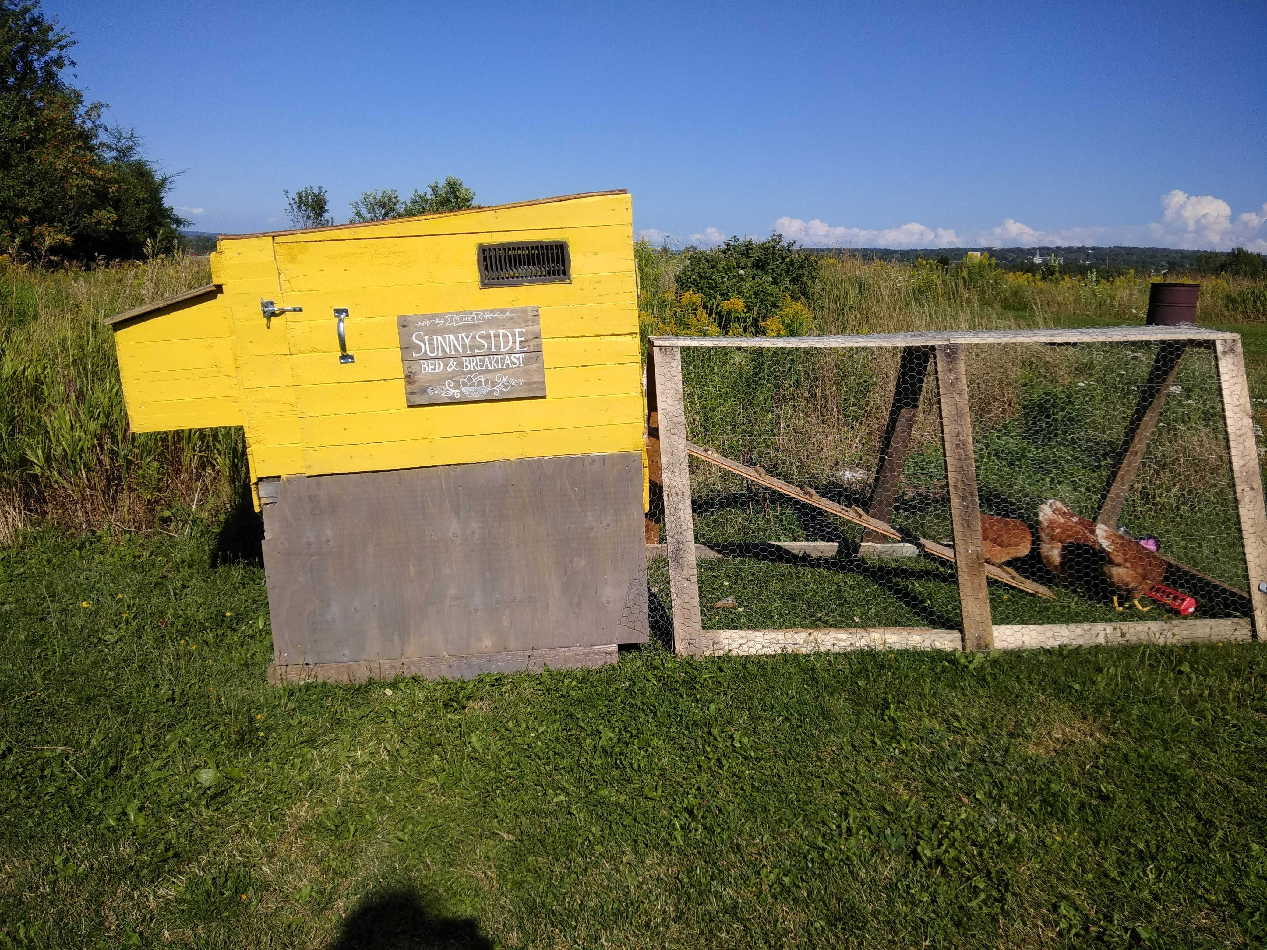 Midsummer Day Dreams – The Neufelds – Follow us!