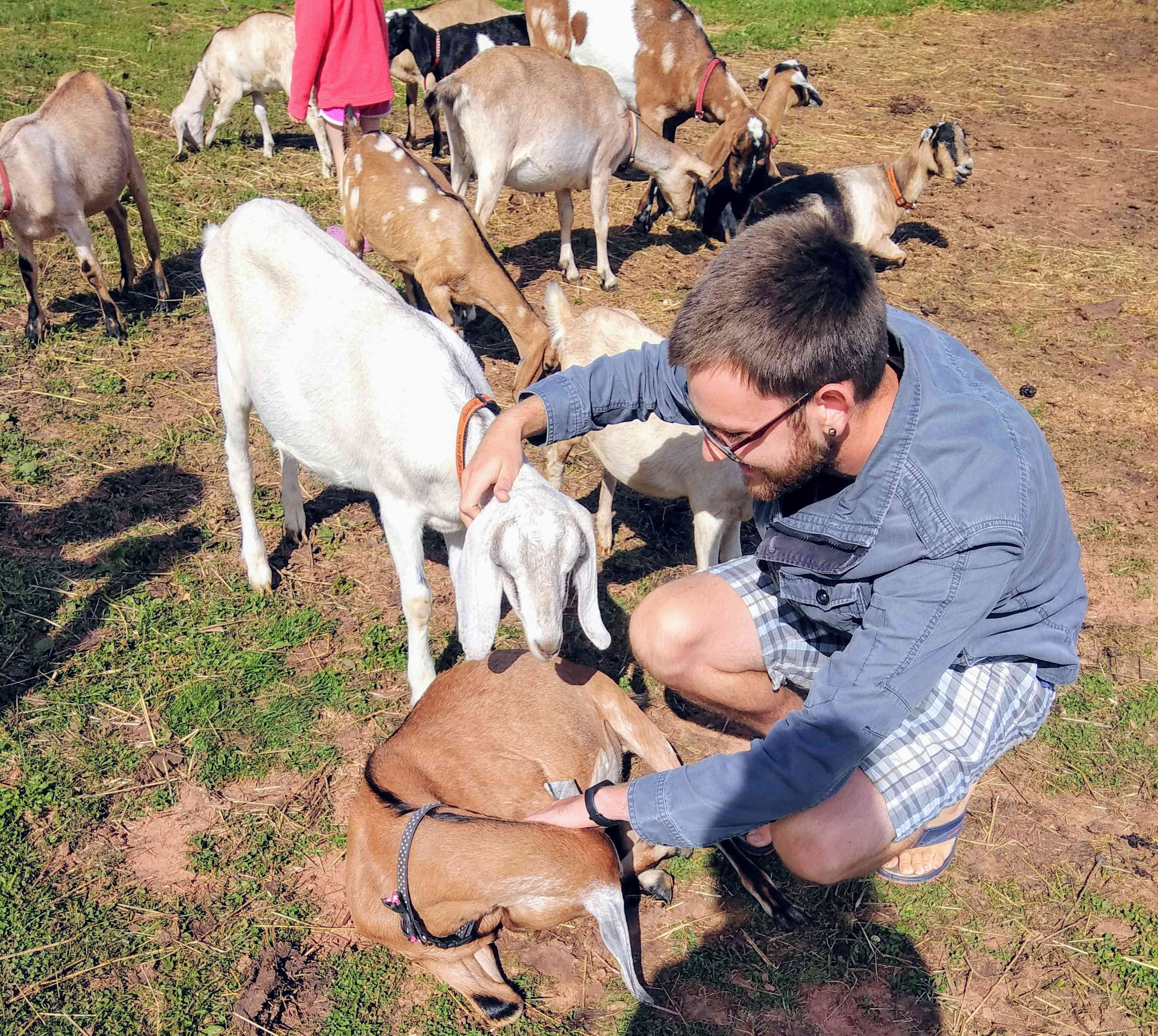 End of Summer Reflections – The Neufelds – Follow us!